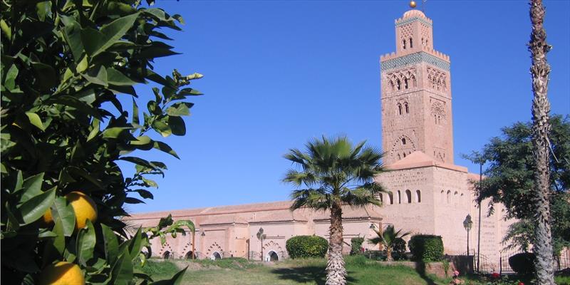 Marrakech Bus Station (Bab Doukkala) - Wise Visitor
